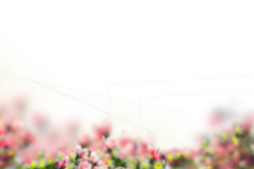 🥇 Image Of Painted Flowers Overlay Png - 【free Photo】 100034324
