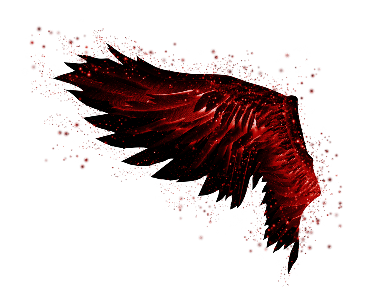 Wings Clipart Overlay PNG - Free Stock Photo | FreeJPG